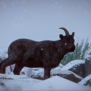 Melanistic Dall Sheep | Planet Zoo Mod Download