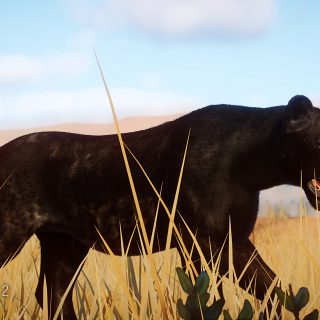 Melanistic Lion | Planet Zoo Mod Download