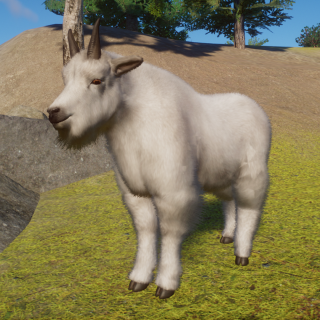 Mountain Goat (Updated for 1.4) | Planet Zoo Mod Download