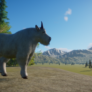 Mountain Goat (Updated for 1.4) | Planet Zoo Mod Download