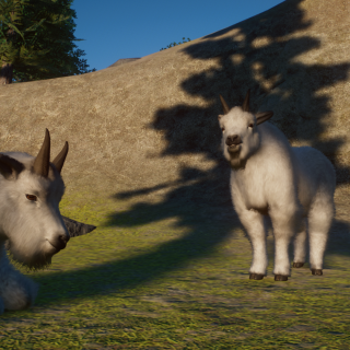 Mountain Goat (Updated for 1.4) | Planet Zoo Mod Download