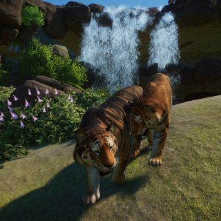 Realistic Melanistic Tiger | Planet Zoo Mod Download