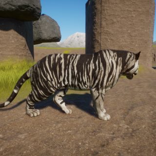 Realistic Melanistic Tiger | Planet Zoo Mod Download