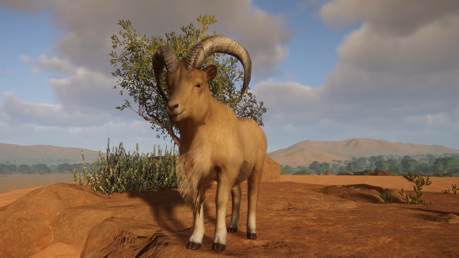 Aoudad - New Species | Planet Zoo Mod Download