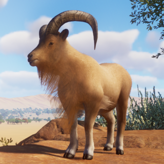 Aoudad - New Species | Planet Zoo Mod Download