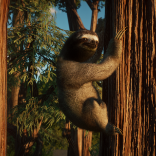 New Species - Brown-Throated Three-Toed Sloth V1.8 | Planet Zoo Mod ...