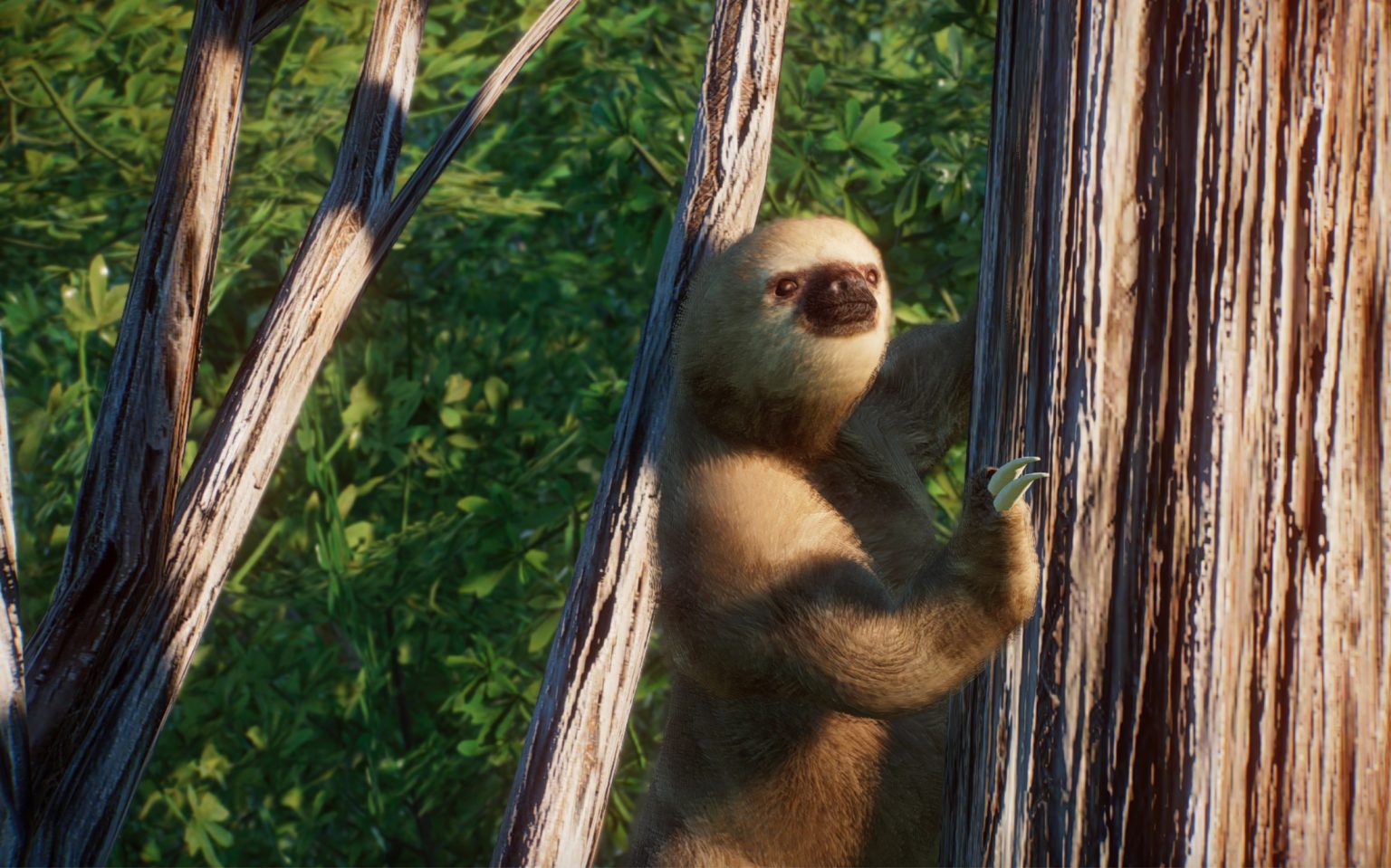 New Species - Hoffman's Two-Toed Sloth V1.8 | Planet Zoo Mod Download
