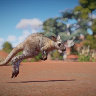 Red Necked Wallaby - New Species 1.8 V1.0 | Planet Zoo Mod Download