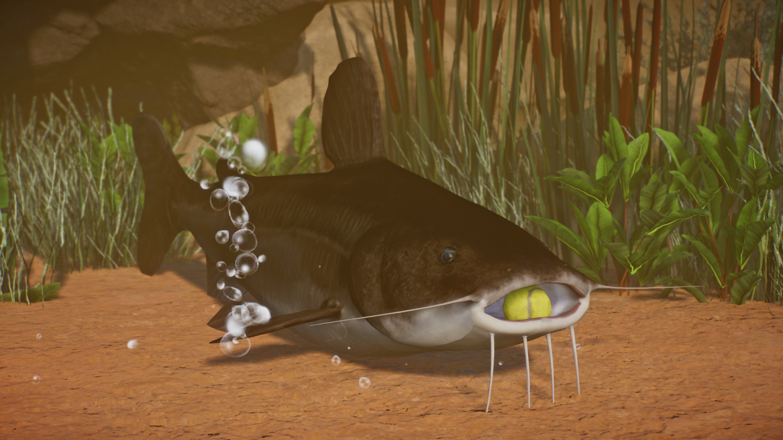 New Species - Kamba Catfish 1.8 V1.8.1 | Planet Zoo Mod Download