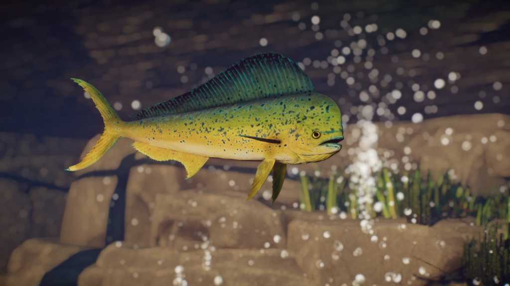 New Species - Mahi-Mahi V1.8 | Planet Zoo Mod Download