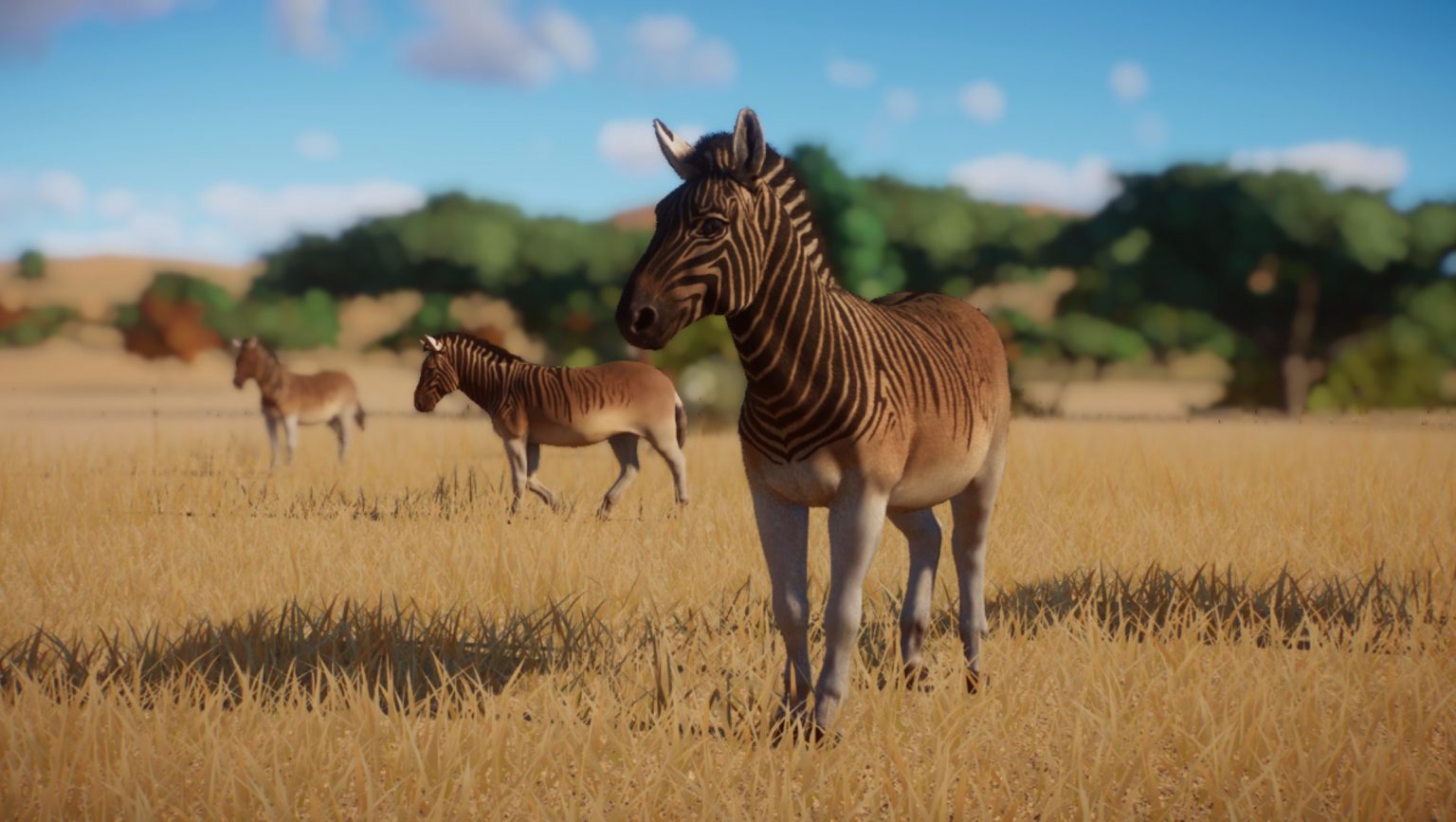 Quagga - New Species V1.8 | Planet Zoo Mod Download