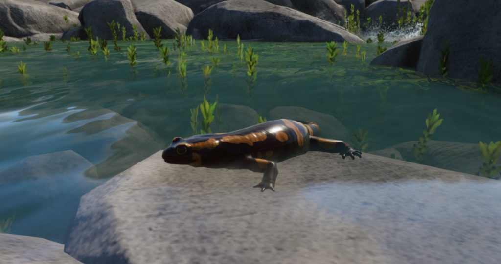 New Species - Fire Salamander 1.8 V1.0 | Planet Zoo Mod Download