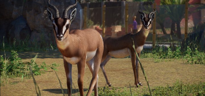 Animals Planet Zoo Mods | Planet Zoo Animals Mod