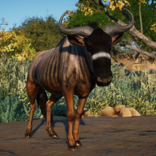 Nyassa Wildebeest - New Species V1.8 | Planet Zoo Mod Download