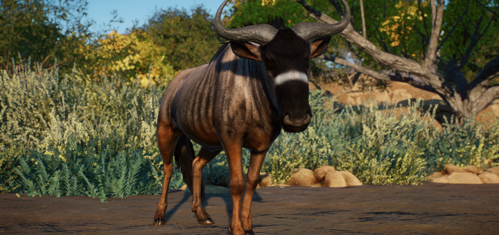 Animals Planet Zoo Mods | Planet Zoo Animals Mod