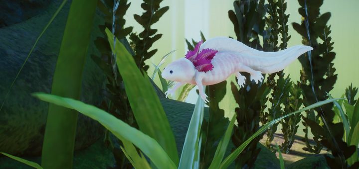 Animals Planet Zoo Mods | Planet Zoo Animals Mod