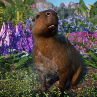 Capybara - Everyone's Friend V1.9 | Planet Zoo Mod Download