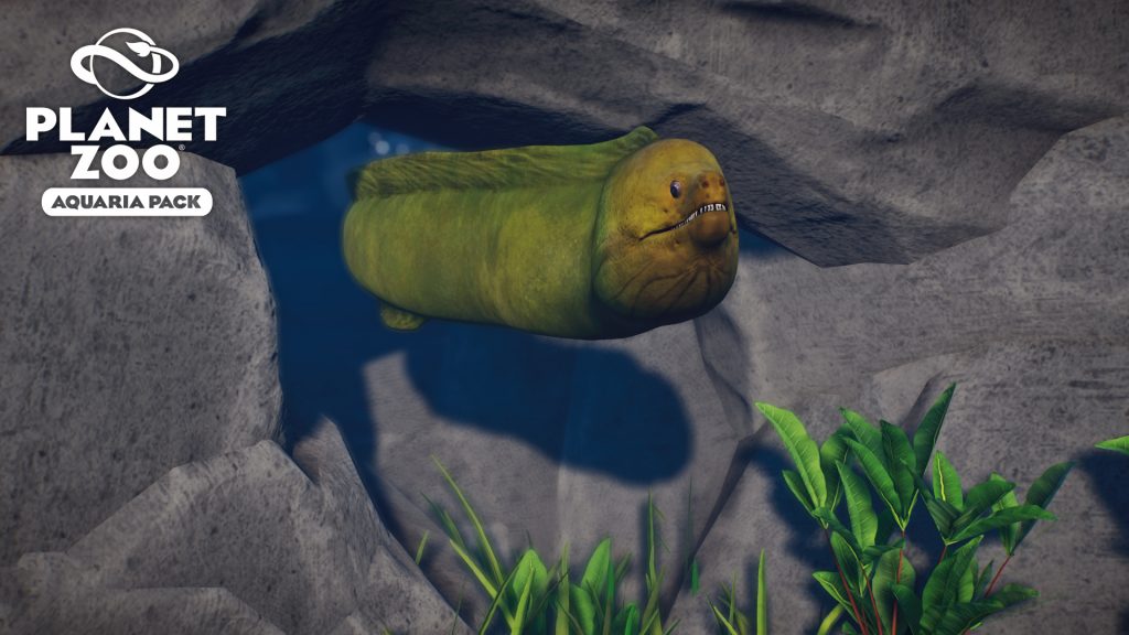 Green Moray Eel - New Species V1.8 | Planet Zoo Mod Download