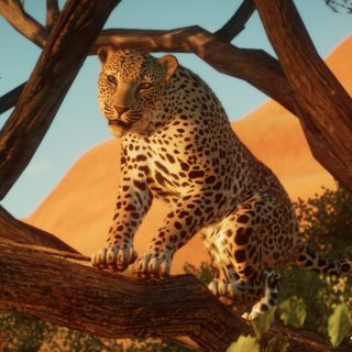Leopard Pack 1.9 V1.0 | Planet Zoo Mod Download