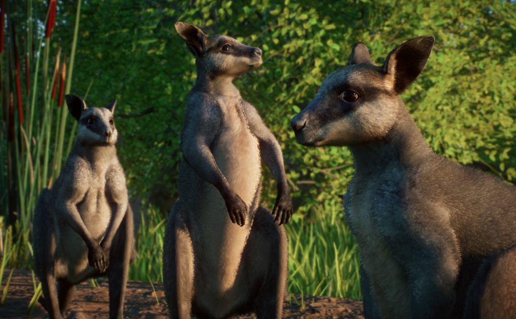 New Species - Swamp Wallaby V1.8 | Planet Zoo Mod Download