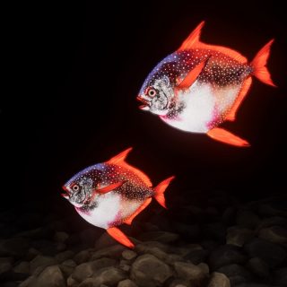 Atlantic Opah - New Species 1.9 V1.0 | Planet Zoo Mod Download