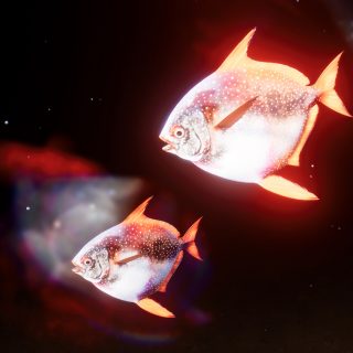 Atlantic Opah - New Species 1.9 V1.0 | Planet Zoo Mod Download