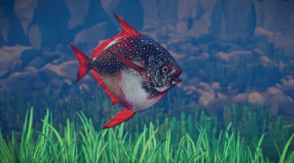 Atlantic Opah - New Species 1.9 V1.0 | Planet Zoo Mod Download