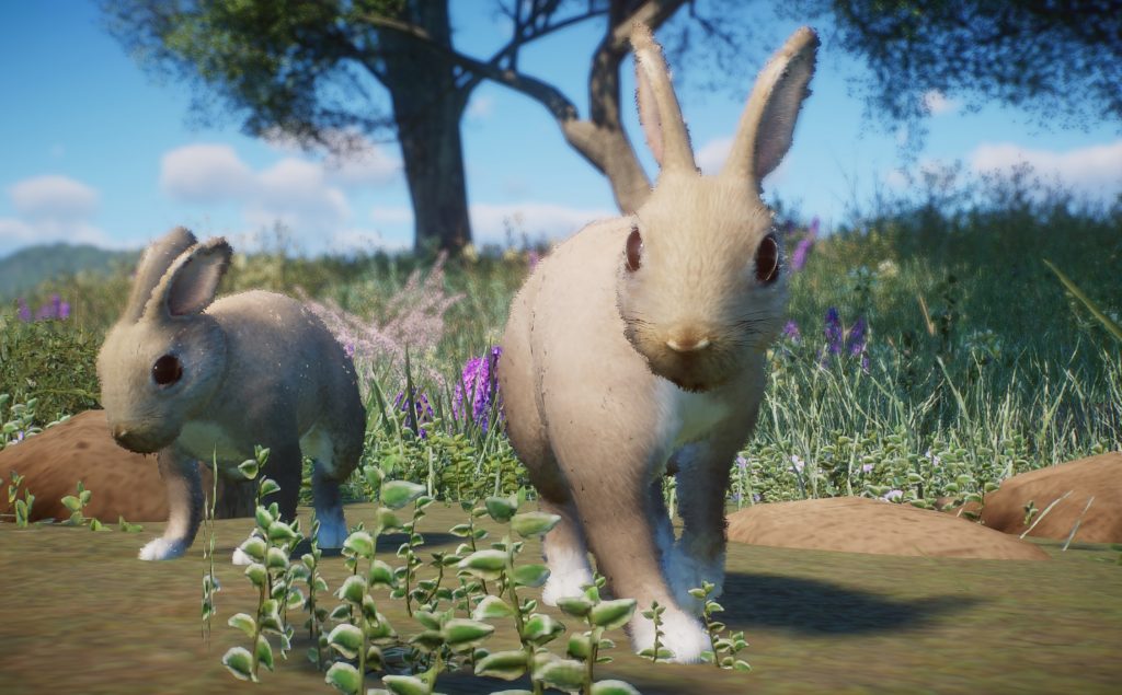 European Rabbit - New Species V1.9 | Planet Zoo Mod Download