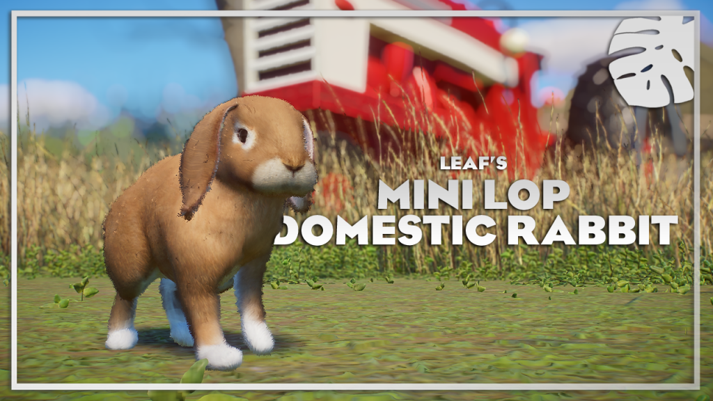 Mini Lop - Domesticated Rabbit - New Species V1.9 | Planet Zoo Mod Download