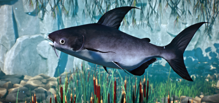 Shoebill - New Species V1.9 | Planet Zoo Mod Download