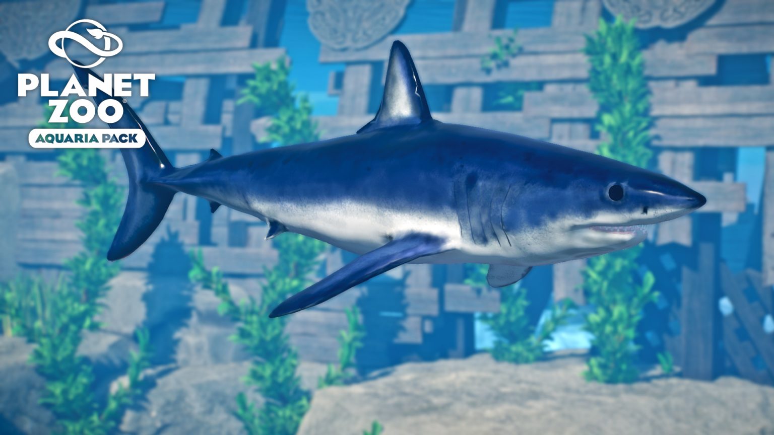 Shortfin Mako Shark - New Species V1.9 | Planet Zoo Mod Download