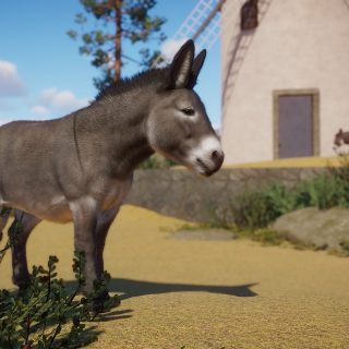 North American Standard Donkey - New Species V1.10 | Planet Zoo Mod Download