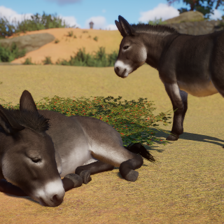 North American Standard Donkey - New Species V1.10 | Planet Zoo Mod Download