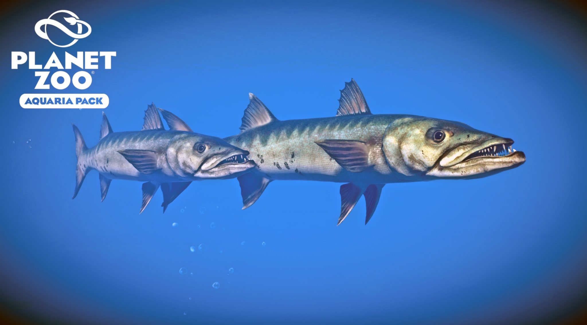 Great Barracuda - Aquaria Pack New Species 1.9 V1.9.1 | Planet Zoo Mod ...
