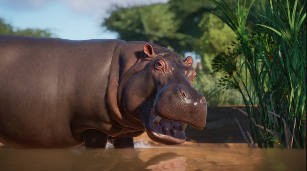 Narwhaler's Hippopotamus Remaster V1.10 | Planet Zoo Mod Download