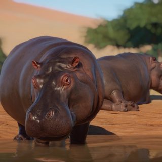Narwhaler's Hippopotamus Remaster V1.10 | Planet Zoo Mod Download