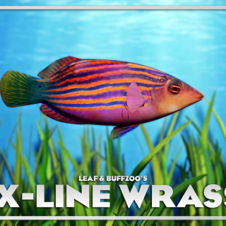 Six-Line Wrasse - New Species V1.10 | Planet Zoo Mod Download