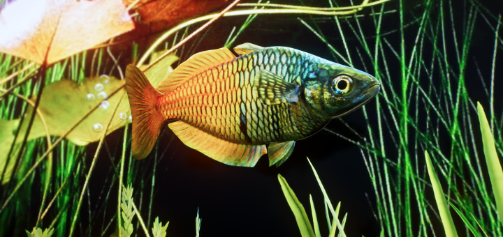 Planet Zoo mods | Download Planet Zoo PC mod