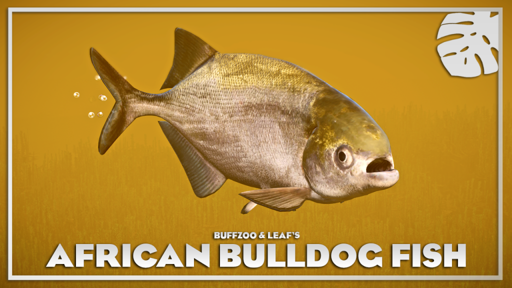 African Bulldog Fish - New Species V1.10 | Planet Zoo Mod Download