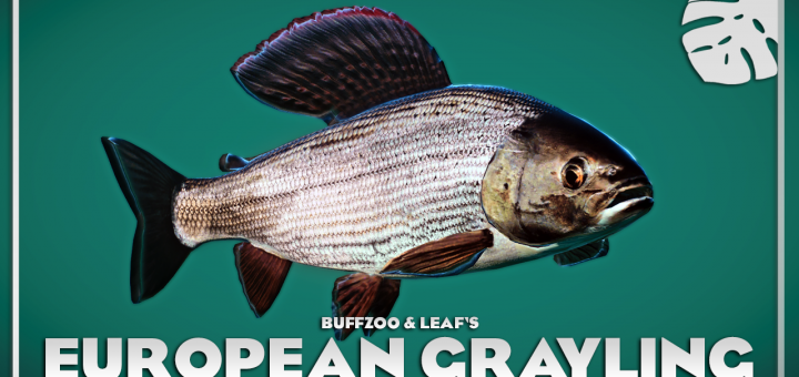 Shoebill - New Species V1.9 | Planet Zoo Mod Download