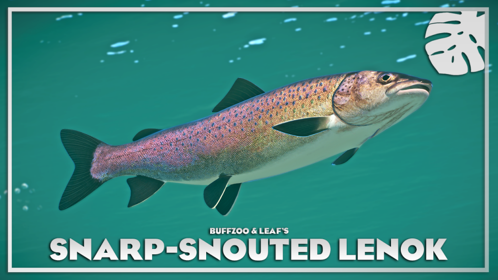 Sharp-Snouted Lenok - New Species V1.10 | Planet Zoo Mod Download