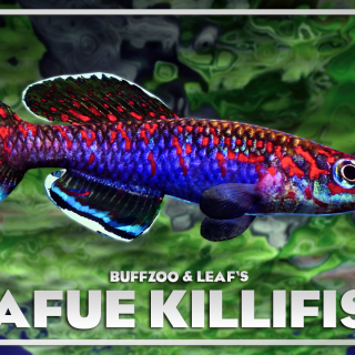 ACSE V0.644 | Planet Zoo Mod Download