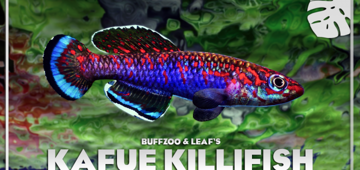 Animals Planet Zoo Mods | Planet Zoo Animals Mod