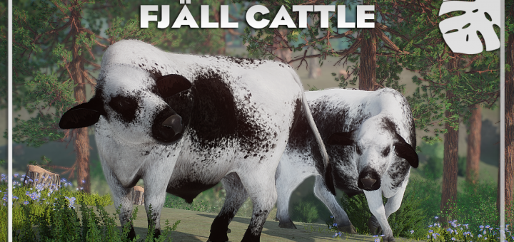 Shoebill - New Species V1.9 | Planet Zoo Mod Download