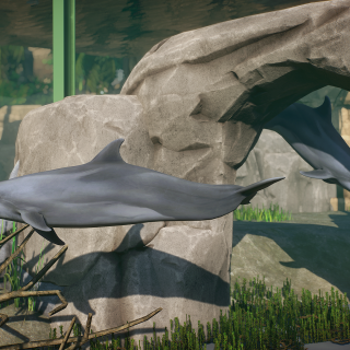 Bottlenose Dolphin - New Species V1.10 | Planet Zoo Mod Download