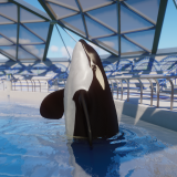 Orca (Killer Whale) - New Species V1.10 | Planet Zoo Mod Download