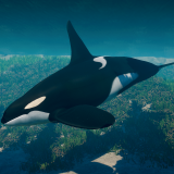 Orca (Killer Whale) - New Species V1.10 | Planet Zoo Mod Download