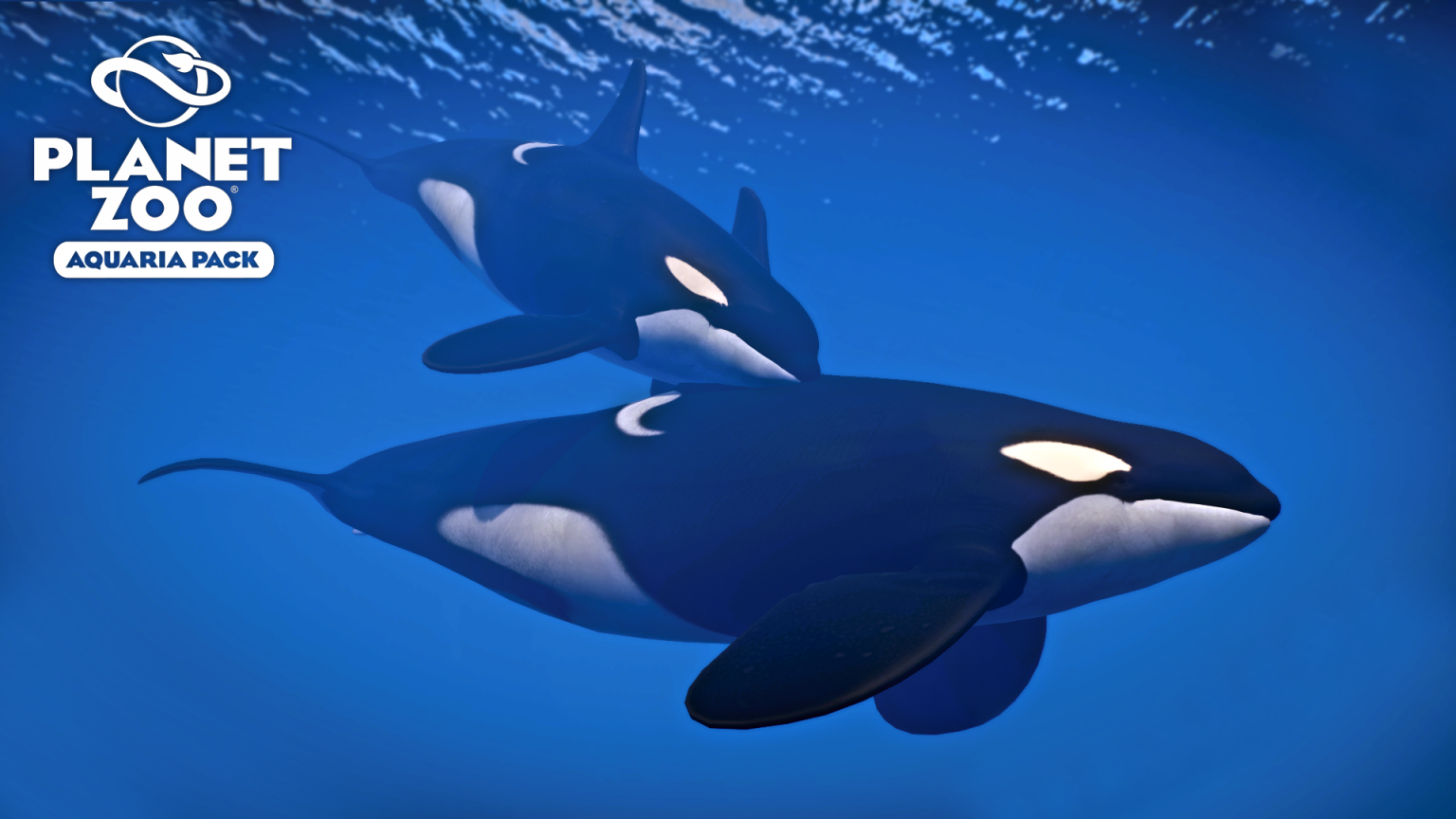 Orca (Killer Whale) - New Species V1.10 | Planet Zoo Mod Download