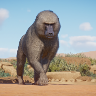 Olive Baboon - New Species V1.10 | Planet Zoo Mod Download