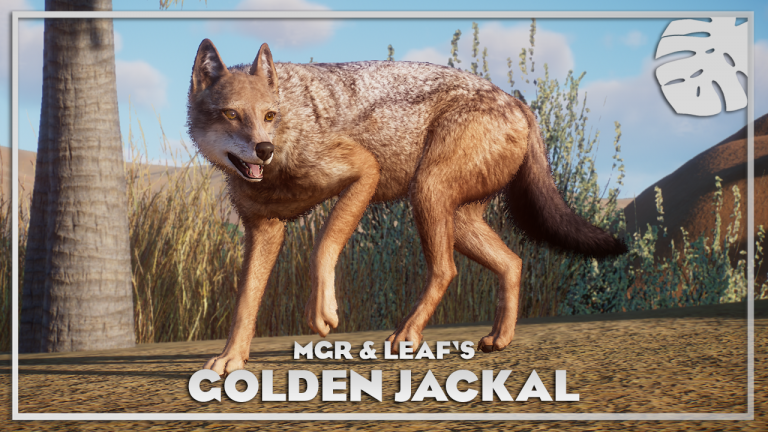 Golden Jackal - New Species V1.10 | Planet Zoo Mod Download
